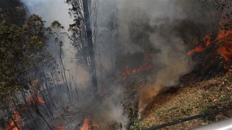 ¿quiénes Están Detrás De Los Incendios Forestales En Quito Metro Ecuador