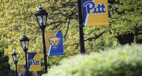 Heres The Plan For Pitt Q A On Budget ReSTART University Times