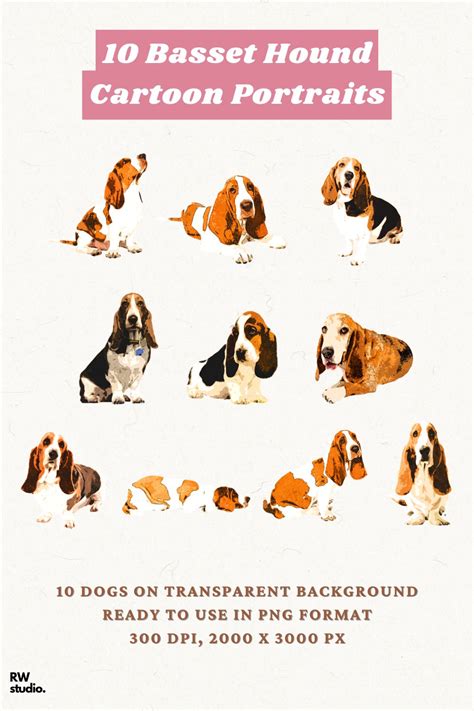 10 Basset Hound Cartoon Portraitsdog Breeds Artclipsicon