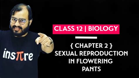 Class 12 Biology Chapter 2 Sexual Reproduction In Flowering Plants Hand
