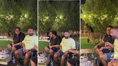 Viral Video Shows Huge Tiger Chasing Man On Motorbike People Make