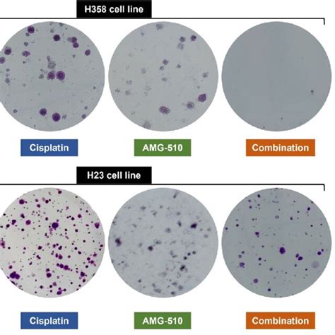 Colony Formation Experiment And Colony Count For H358 A And B And H23