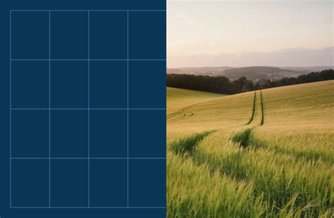 Risk Mitigation Overview Types And Best Practices