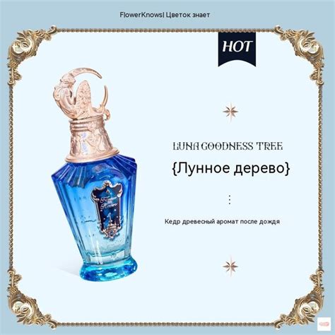 Flower Knows Духи SKU04141 50 мл купить на OZON по низкой цене (1234410822)