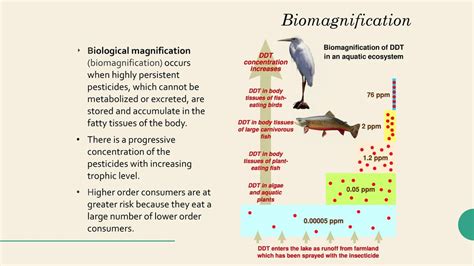 Unit 2 The Living World Ppt Download