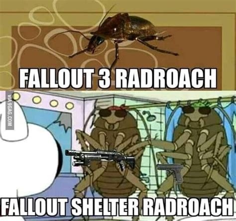 Fallout 3 Radroach Fallout Shelter Radroach Ifunny