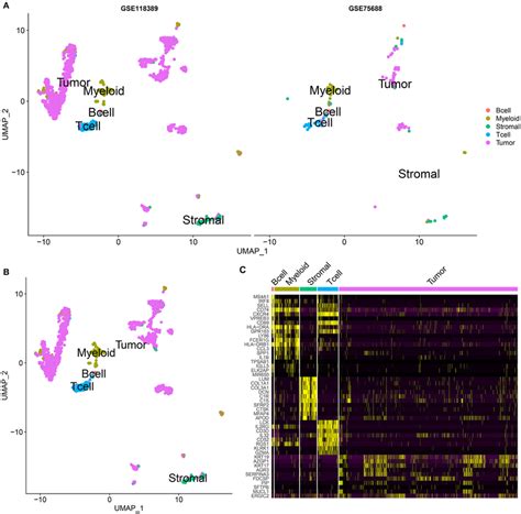 Cell Clustering Analysis For Single Cell Rna Seq Of Tnbc Cells In The