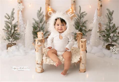 Winter Wonderland Cake Smash Artofit
