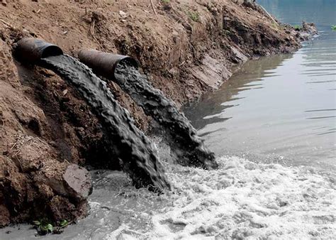Garbage Pollution Causes Effects And Solutions Garbage Pollution Causes Effects And Solutions