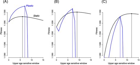 Fitness Vertical Axis Of Plastic Blue And Nonplastic Black