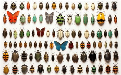Premium Ai Image Mapping The Complex World Of Insect Habitats