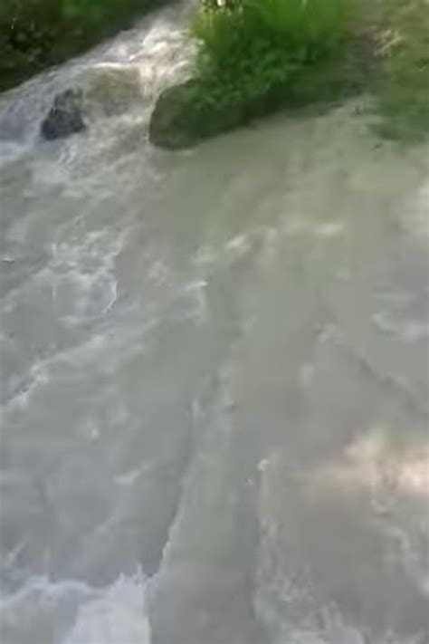 ხარაგაული ანდრიაობა Youtube