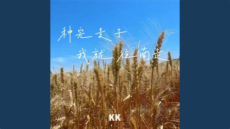 种完麦子我就往南走 Youtube