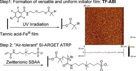 Langmuir Vol 35 No 41