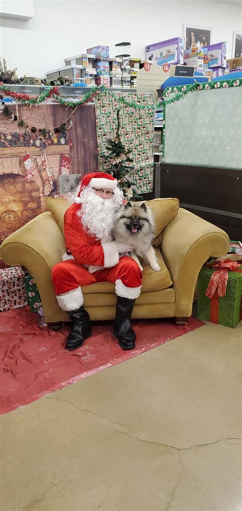 What Is Coco Asking Santa For Christmas Rkeeshond