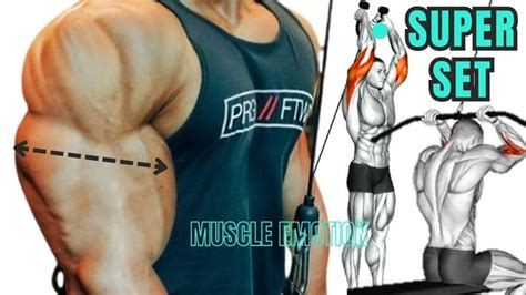 8 Best Biceps And Triceps At Gym Superset Triceps And Biceps Best