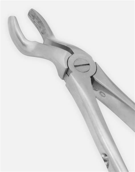Maxillary Third Molar Forceps With Multi Hole Handle Mns Instruments