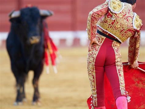 Prohíben Corridas De Toros En México El Adiós De La Fiesta Brava