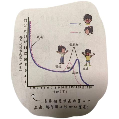 图文详情