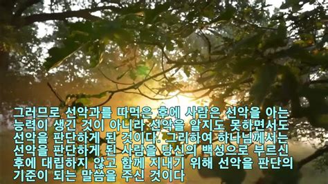 선악과를 따먹은 결과 Youtube