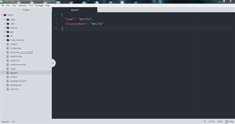 Failing To Start Up A Native Base Project · Issue 2277 · Geekyants