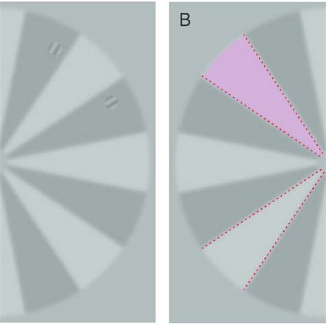 The Stimulus Setup A The Targets Two Grating Stimuli Always 30åpart