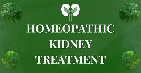 Bun And Creatinine Normal Ranges Wolfexcel