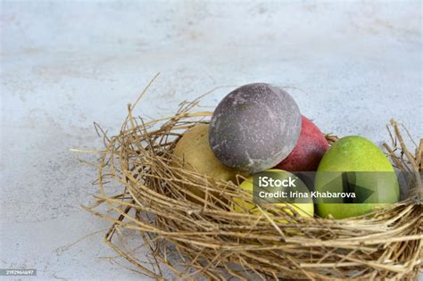 둥지에 여러 가지 빛깔의 달걀 클로즈업 복사 공간 부활절 배경 0명에 대한 스톡 사진 및 기타 이미지 0명 4월 계절 Istock