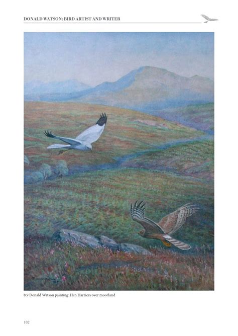 Donald Watson Bird Artist And Writer Nhbs Good Reads
