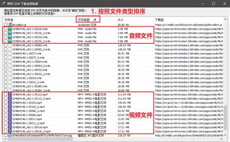 如何下载b站视频，解决视频没有声音音画分离问题（idmpotplayer）idm下载b站视频没有声音 Csdn博客