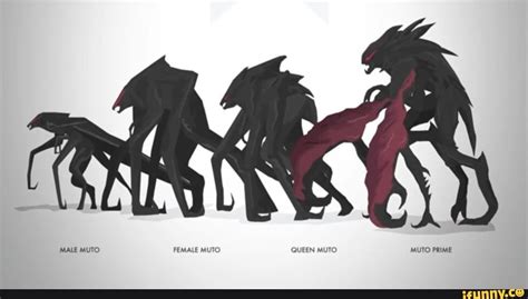 This Is The I Like Male Muto Female Muto Queen Muto Muto Prime Ifunny