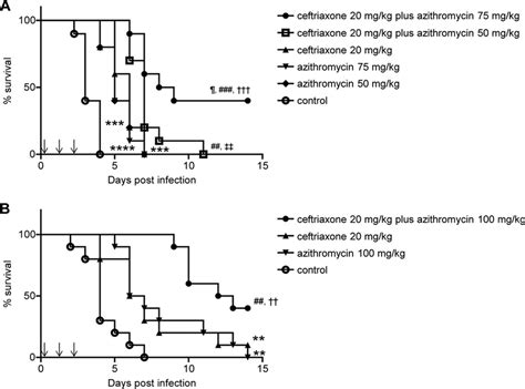 Effects Of Ceftriaxone Plus Azithromycin Combination Therapy On The