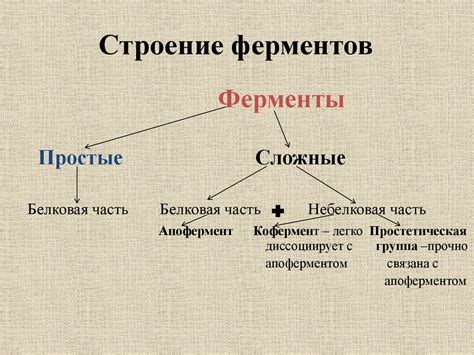 Ферментный катализ - презентация онлайн