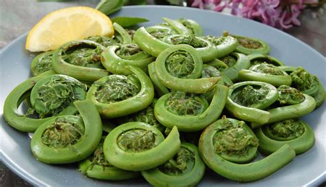 7 Amazing Health Benefits Of Fiddleheads