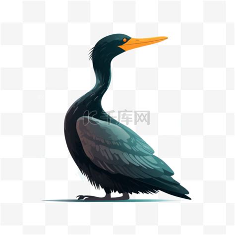 鸬鹚手绘图片 鸬鹚手绘图片素材免费下载 千库网