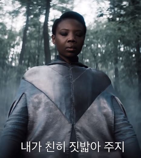넷플릭스 드라마 위쳐엔 Pc가 묻었을까 안묻었을까 유머 움짤 이슈 에펨코리아