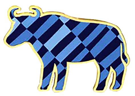 2026 Bivol Romania Feng Shui