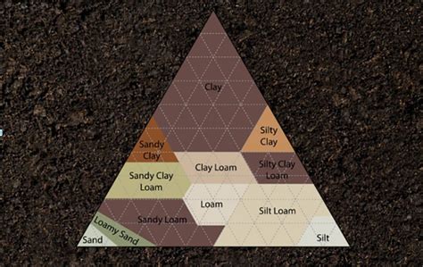 Soil Properties And Amendments St Louis Arts Chamber Of Commerce