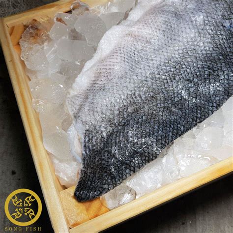 Salmon Skin The Seafood Market Place By Song Fish