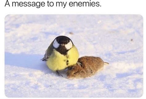 You Mess With Me Im Mess With You R Memes