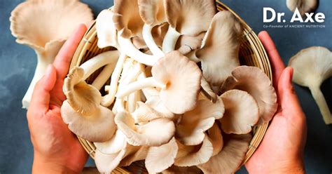 Nutritional Value Of Oyster Mushrooms Besto Blog