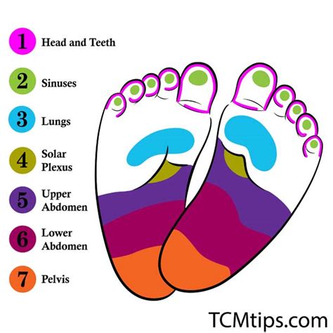 Foot Reflexology Chart For Sleep