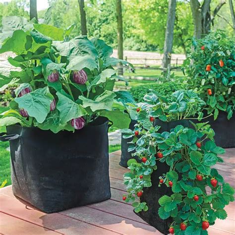 Grow Tubs For Sale Gurneys Seed And Nursery Co