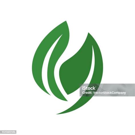葉子圖示向量符號和符號在白色背景下被隔離 葉標識概念向量圖形及更多商標圖片 商標 圖示 外型 Istock