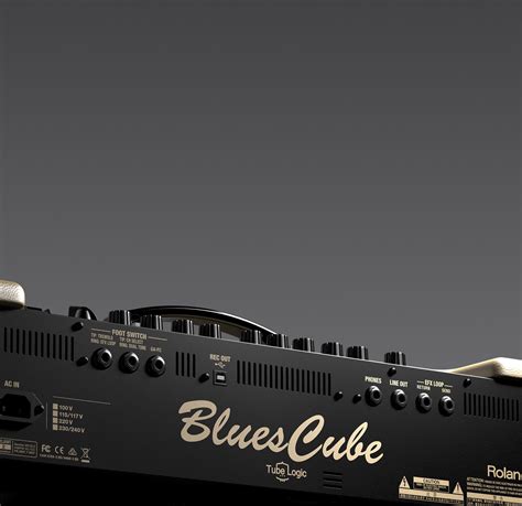 Roland Blues Cube Artist Gitar Amfisi