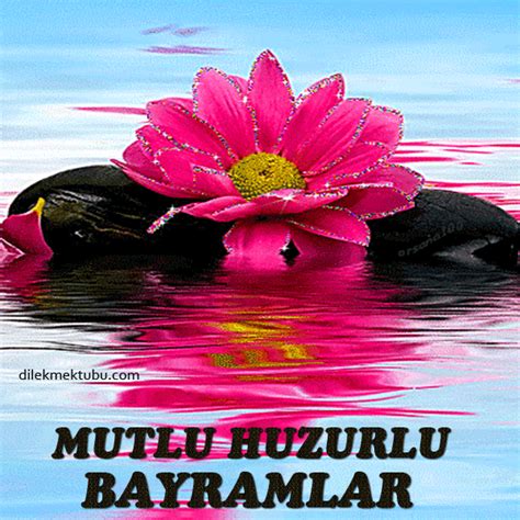 A Pink Flower Floating On Top Of A Body Of Water With The Words Multu Huzuru Bayramia
