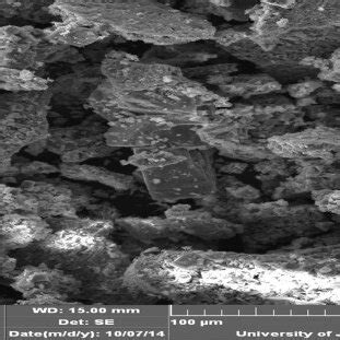 SEM Micrograph Showing The Surface Morphology Of The Isolated
