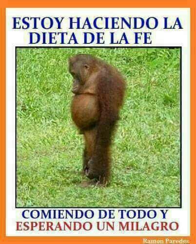 Memes Para Panzon