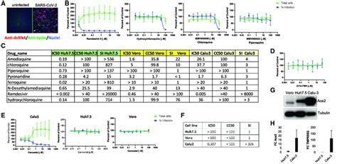 Cell Type Specific Dependencies Of Entry Inhibitors A Calu 3 Human