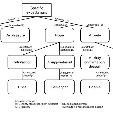 Theoretical Model Of Anticipated Emotion Categories In Exercise
